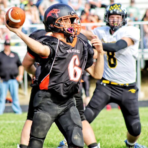 Wolverines begin on the road against Bucktail | News, Sports, Jobs ...
